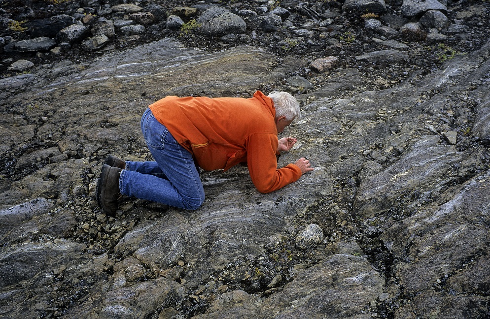 Bogreception Martin Ghisler: En grønlandsgeologs erindringer